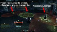 Maelstrom Arena Guide "Easy Clear" for Elder Scrolls Online - AlcastHQ